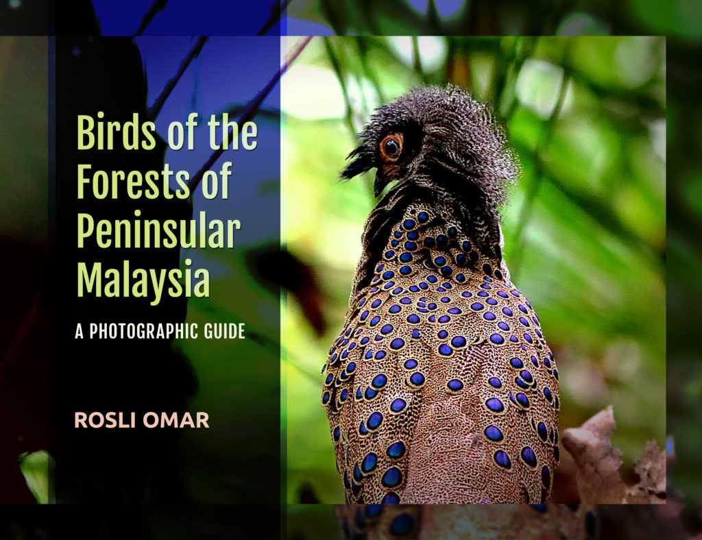 My Bird Book - Rosli Omar Photography