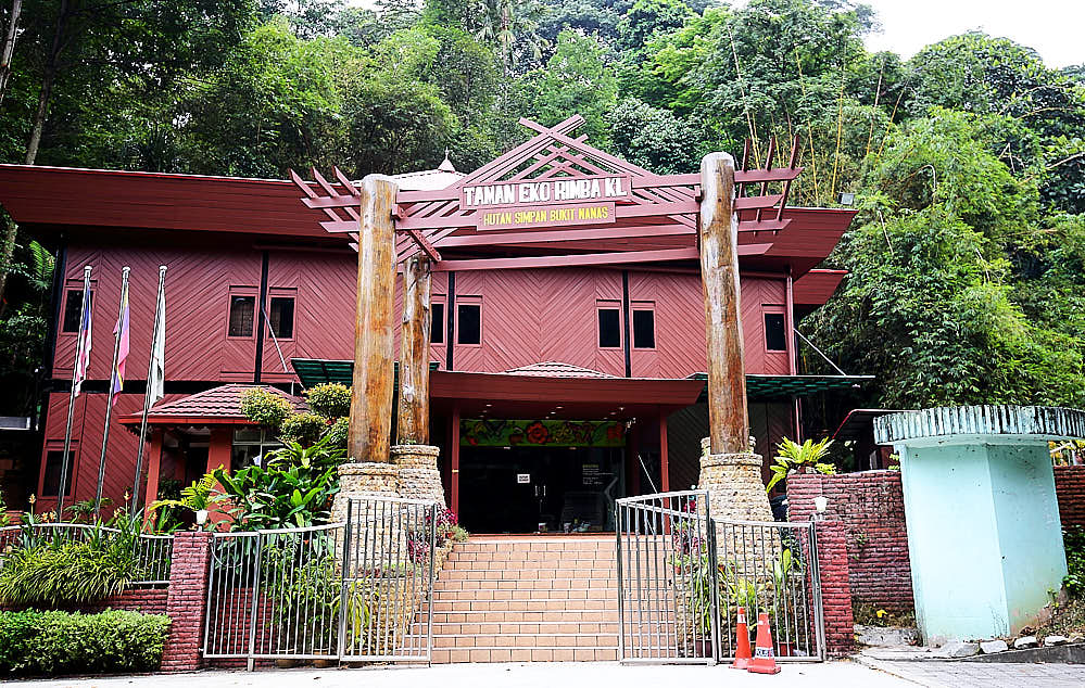 Bukit Nanas Forest Reserve or KL Eco City Park - a forest within the ...