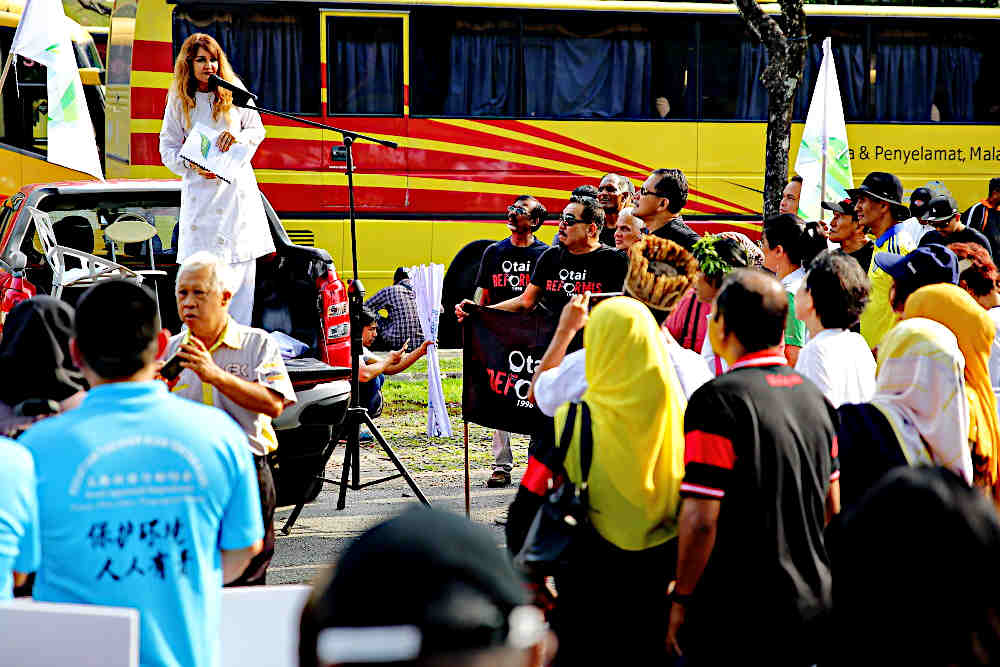 Environmentalists March To Parliament to Protest Forest Destruction ...