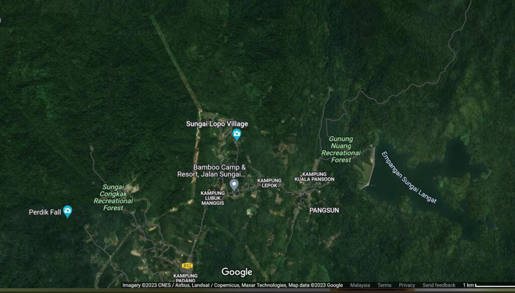 Factors Determining the Butterfly Species List of a Forest - Rosli Omar ...